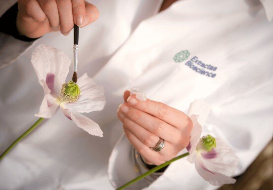 Extractas and cubesys: A healthcare managed service case study